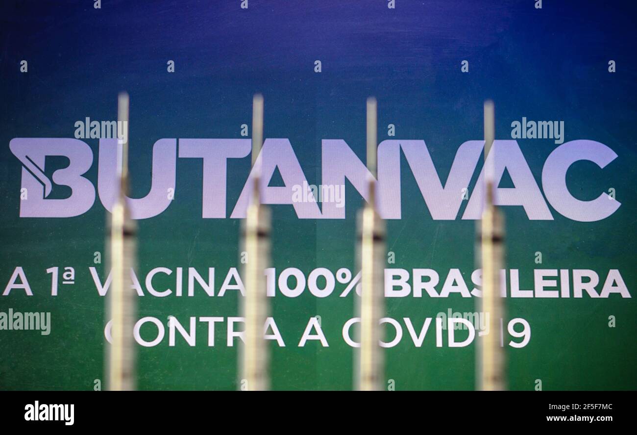 In this photo illustration medical syringes are seen with Butanvac logo ...