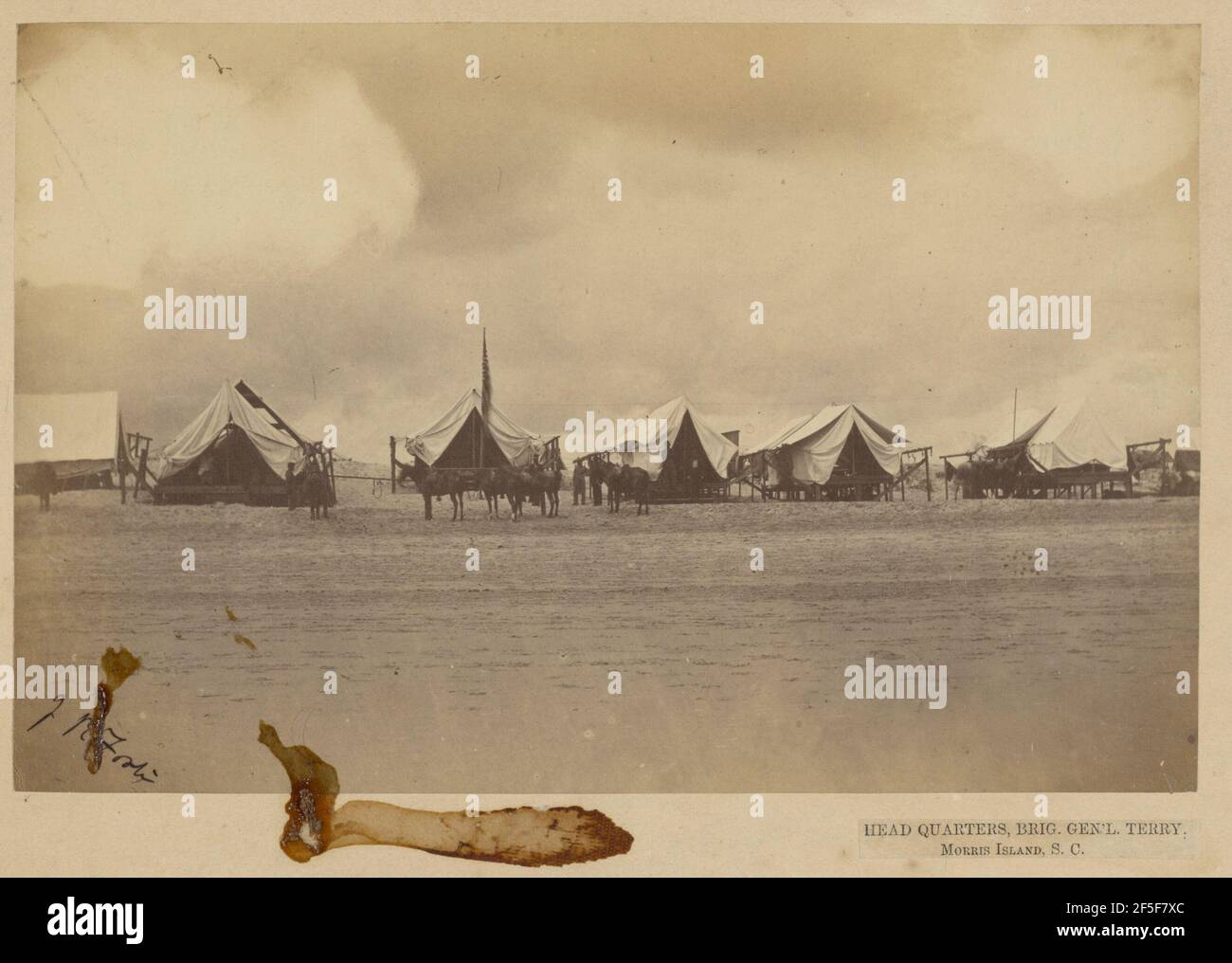 Terry morris hi-res stock photography and images - Alamy