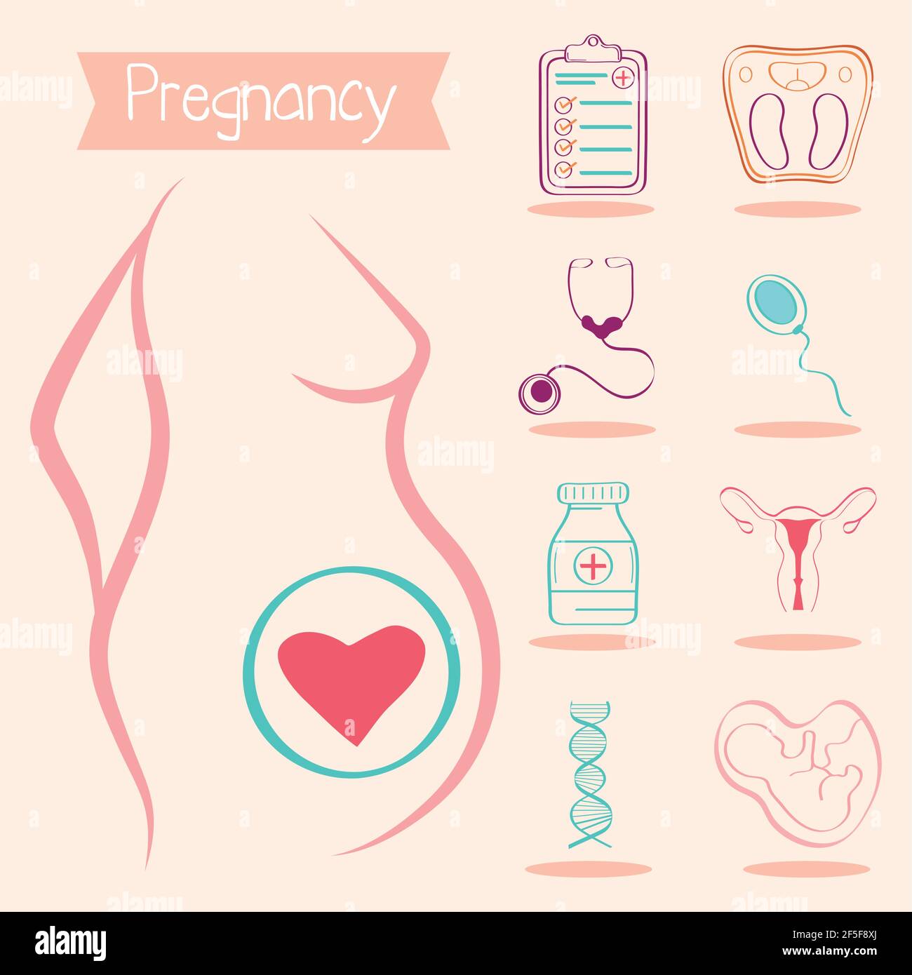 nine pregnancy icons Stock Vector Image & Art - Alamy