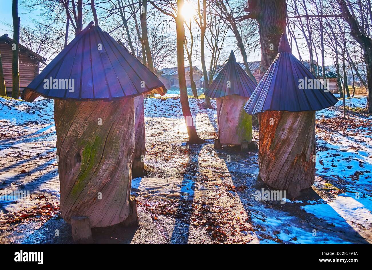 The snowy forest glade with traditional log hives, seen against the sun ...