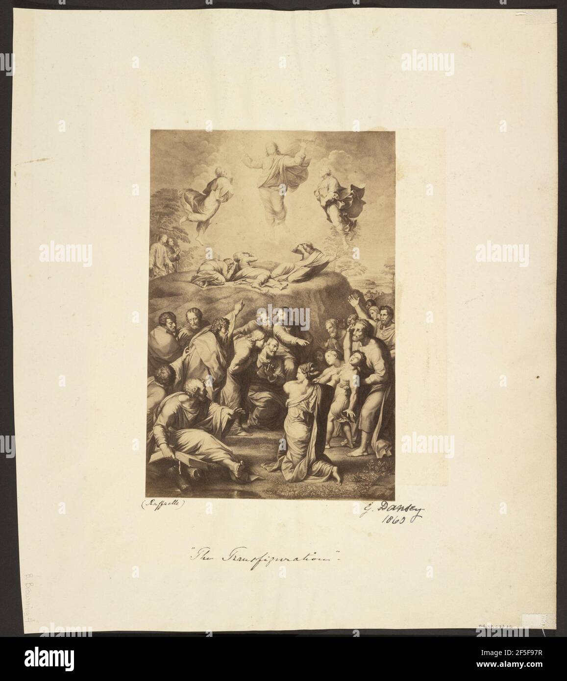 Dansey hi-res stock photography and images - Alamy