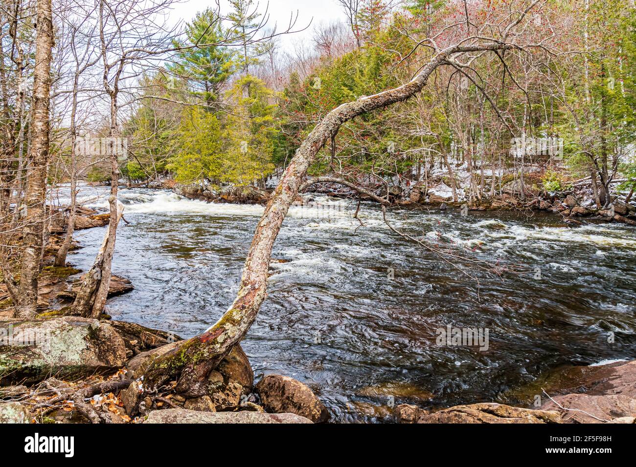 Oxtongue Rapids Conservation area Dwight Ontario Canada in winter Stock ...