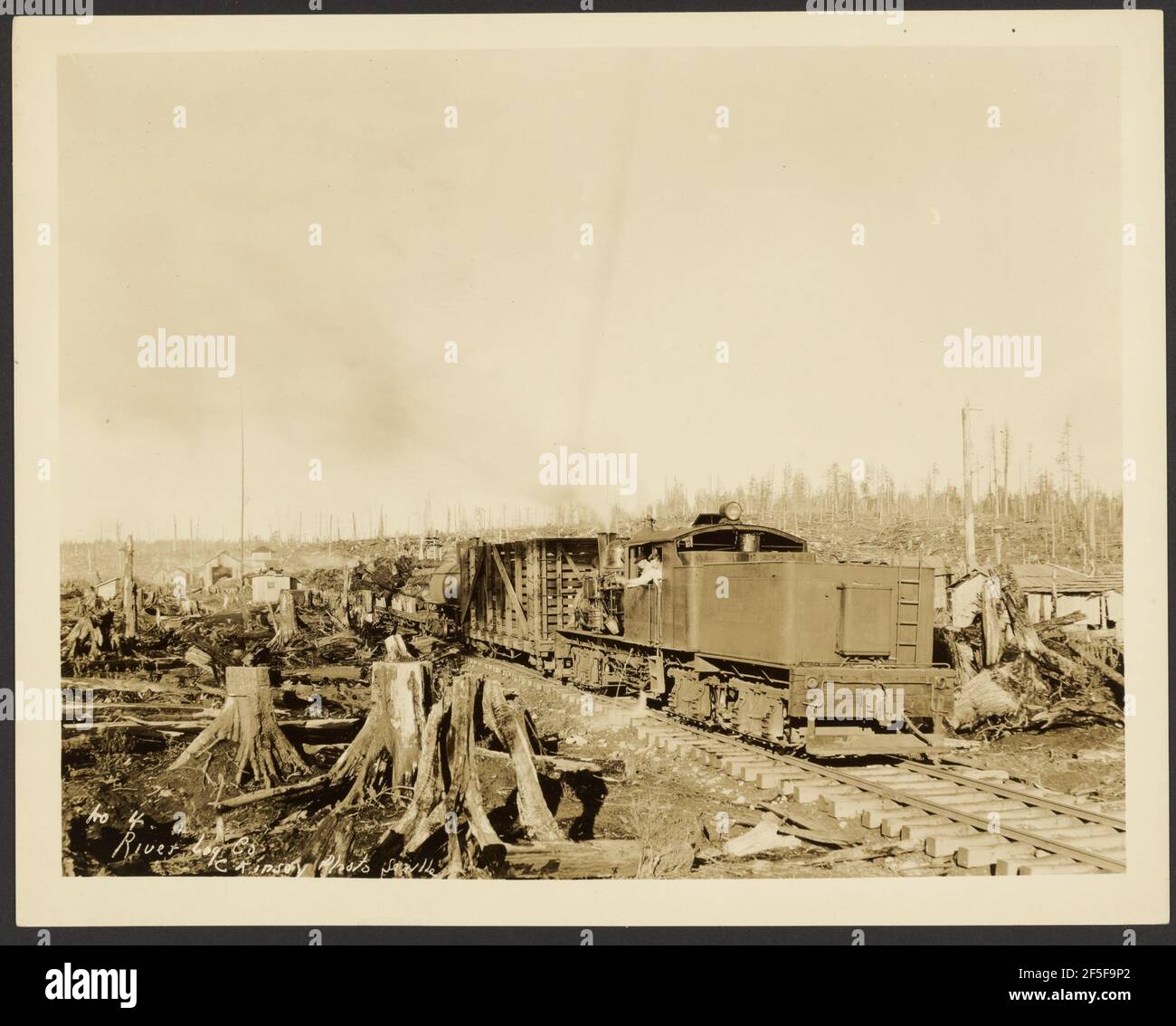 Logging/ Timber Scene. Darius Kinsey (American, 1869 - 1945 Stock Photo ...
