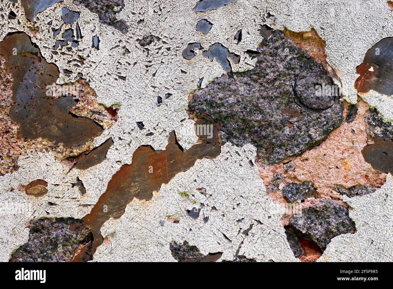 Detailed close up view on aged concrete walls with cracks and lots of ...