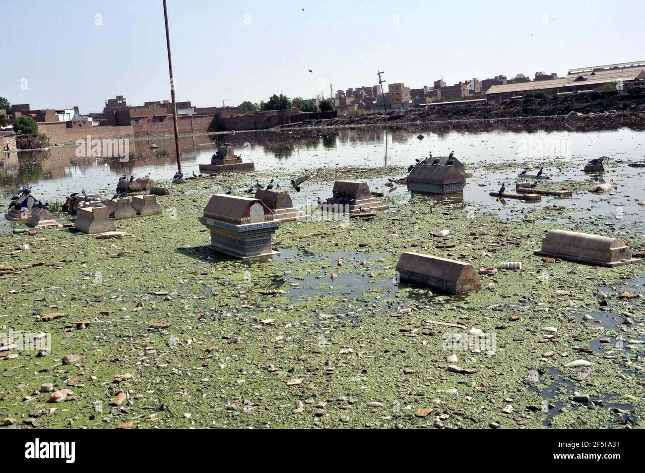 Pakistan. March 26, 2021: The inundated graveyard of Tando Yousaf by ...