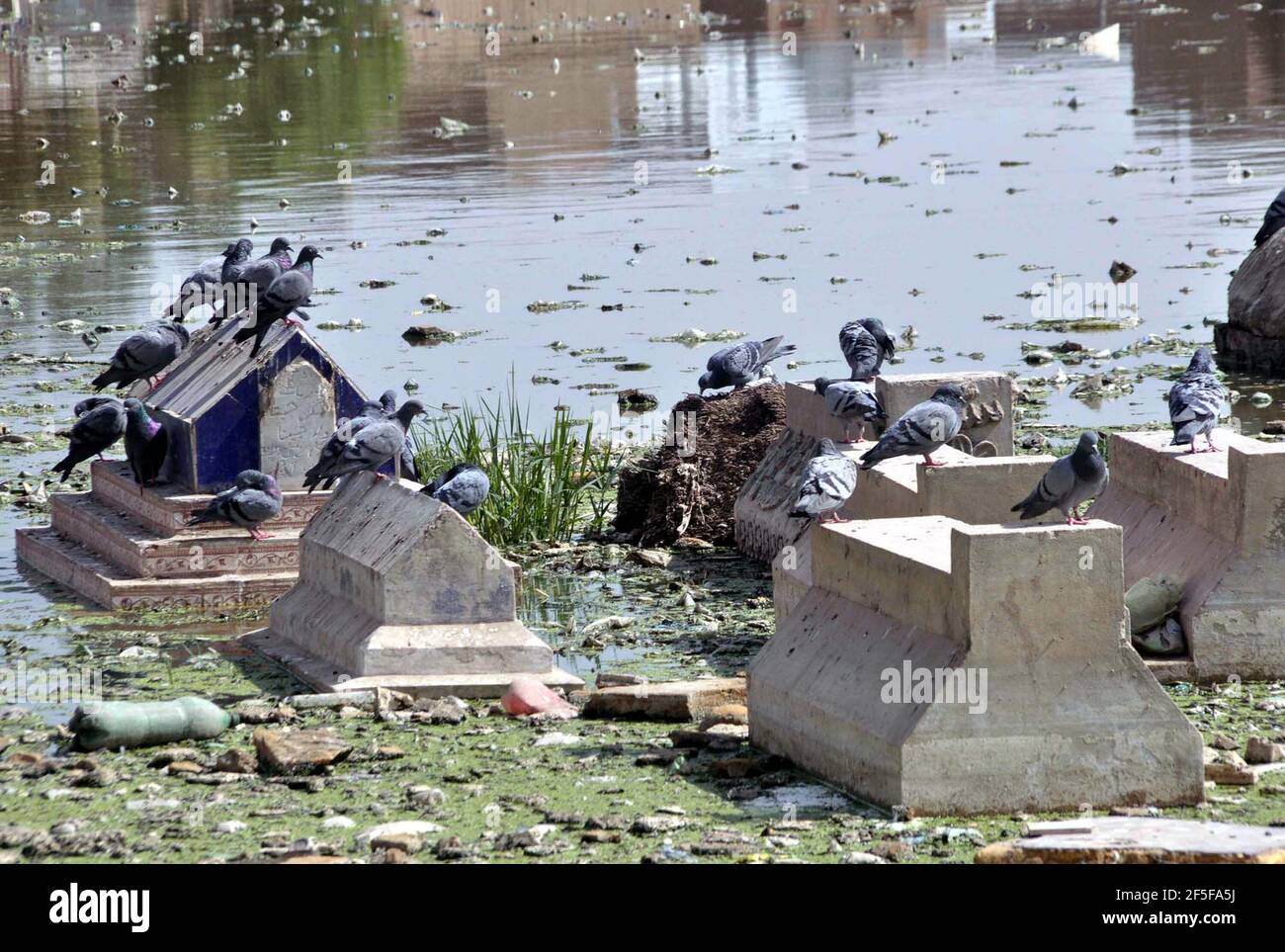 Pakistan tando hi-res stock photography and images - Alamy