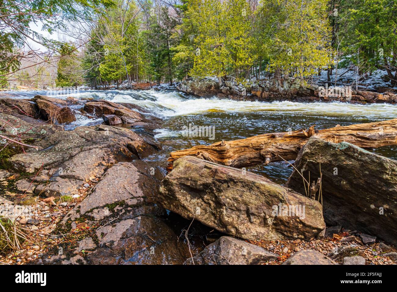Oxtongue Rapids Conservation area Dwight Ontario Canada in winter Stock ...