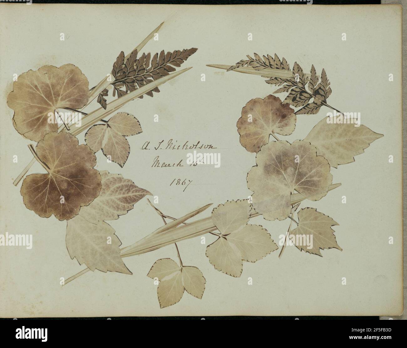 Wreath of leaves and branches. John Wheeley Gough Gutch (British, 1806 ...