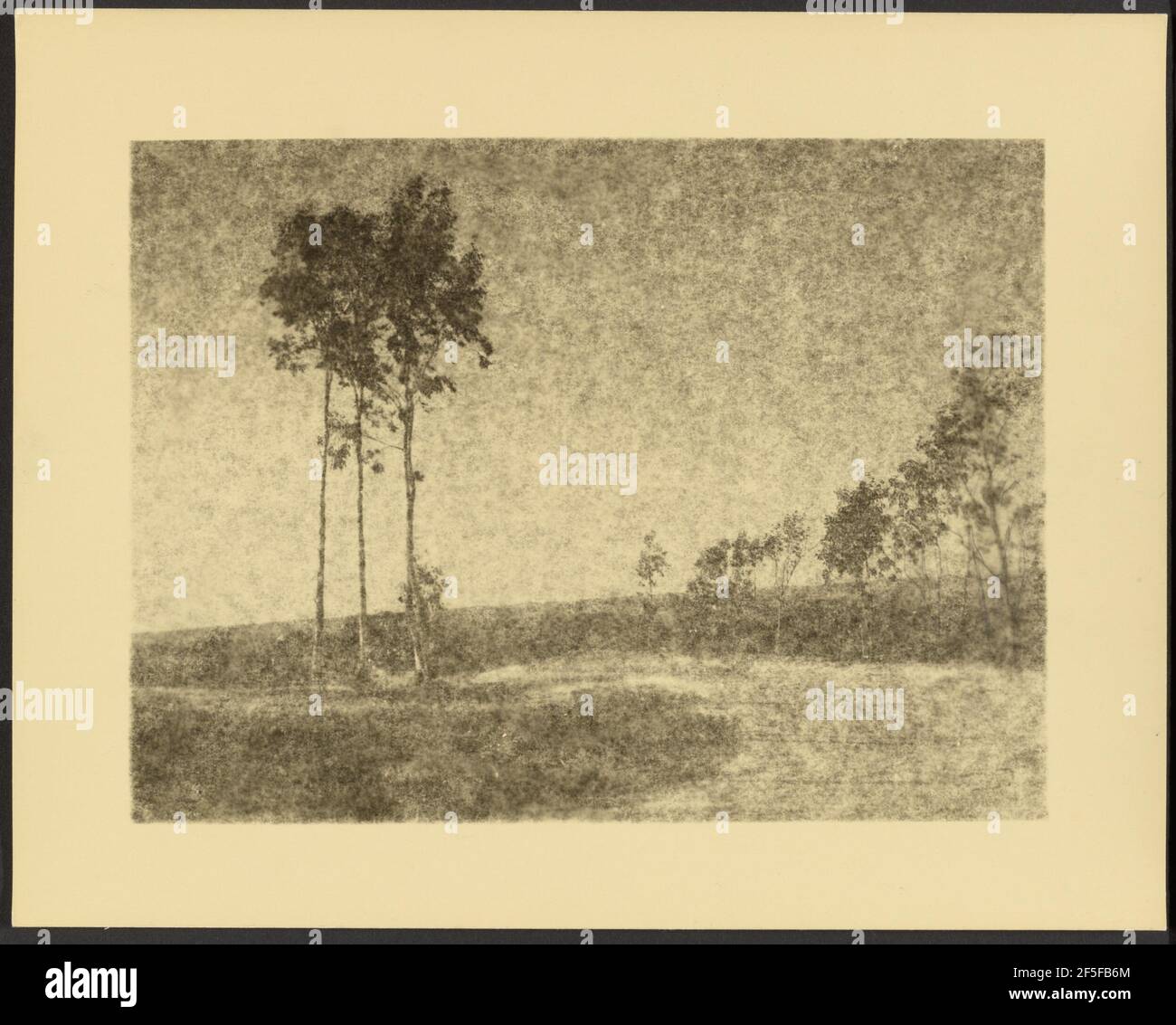 Leopold hugo hi-res stock photography and images - Alamy