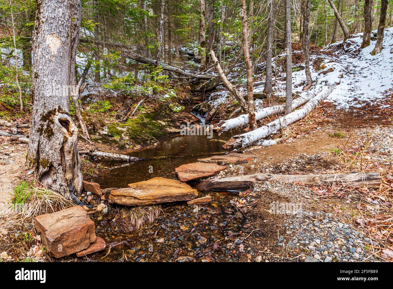 Oxtongue Rapids Conservation area Dwight Ontario Canada in winter Stock ...