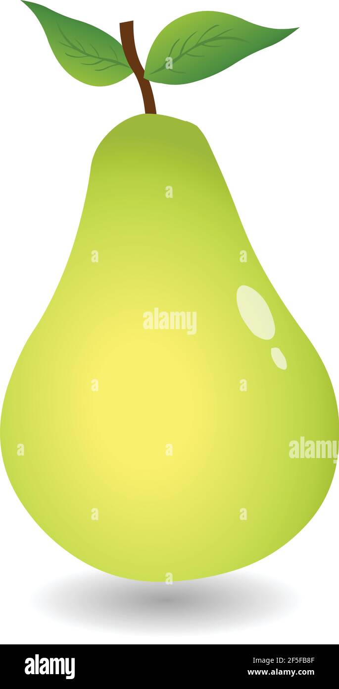 Pear fruit illustration vector isolated on white background Stock ...