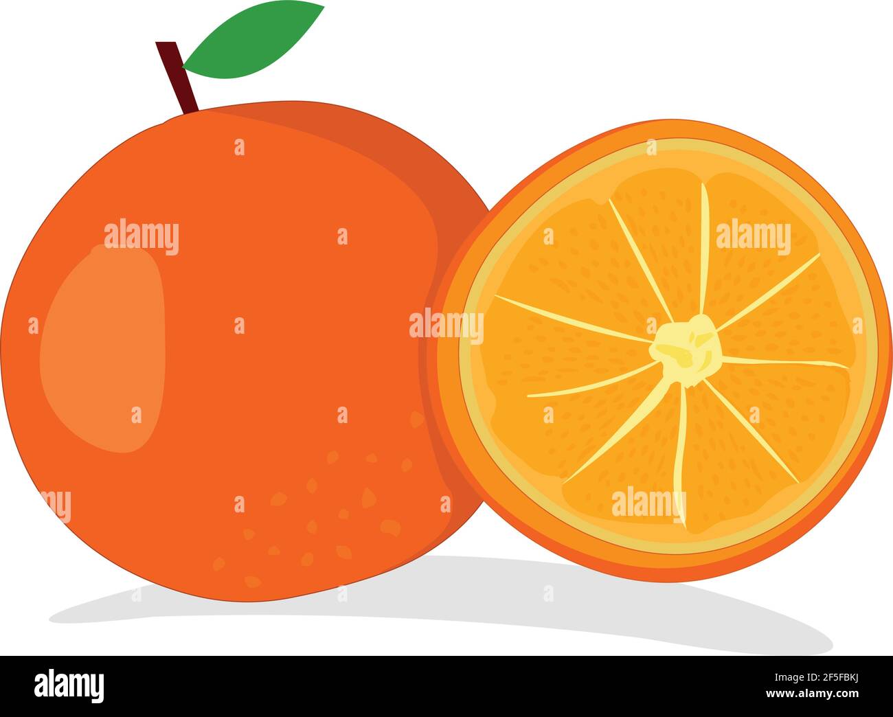 Orange vector stock iamge vector illustration isolated on white ...