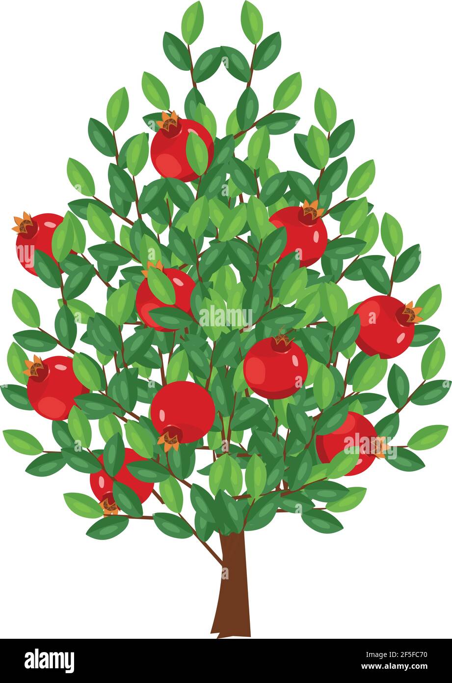 Pomegranate Tree Clipart