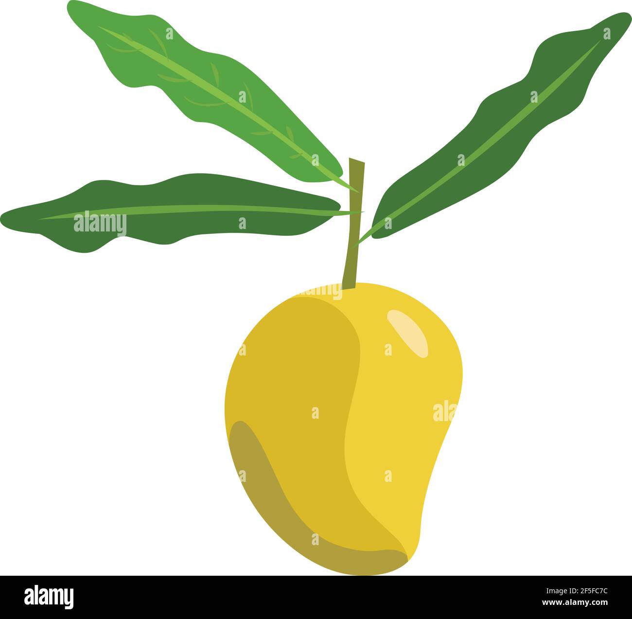 Ripe mango vecor illustration isolated on white background Stock Vector ...