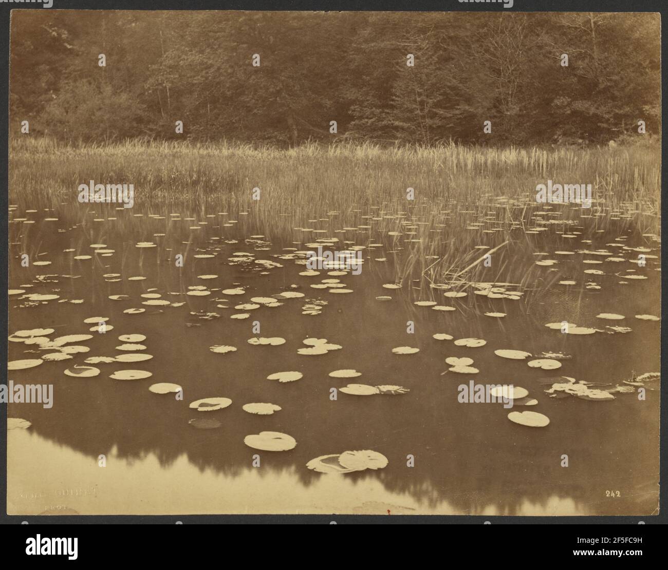 Achille quinet hi-res stock photography and images - Alamy