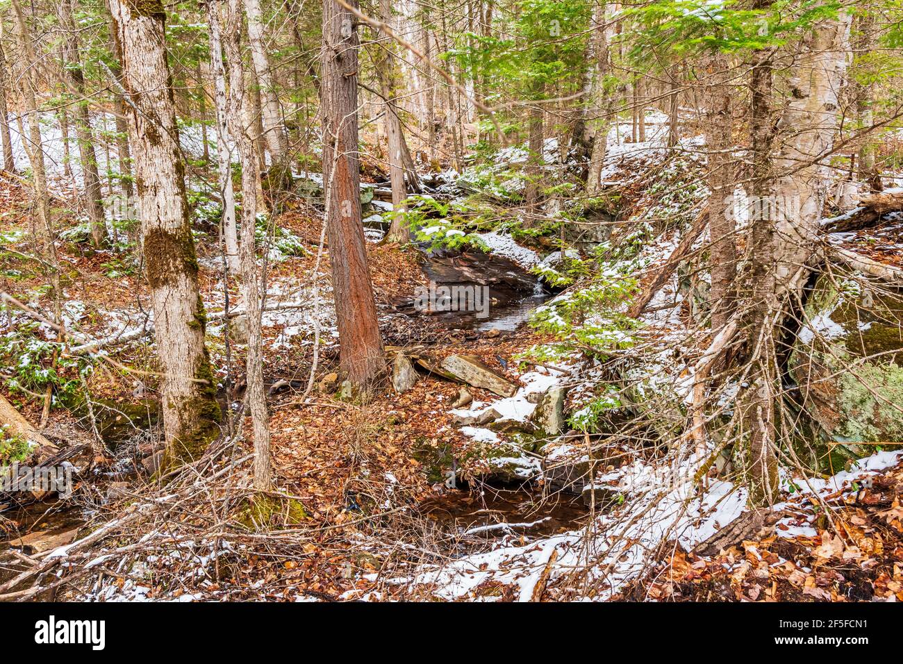 Oxtongue Rapids Conservation area Dwight Ontario Canada in winter Stock ...