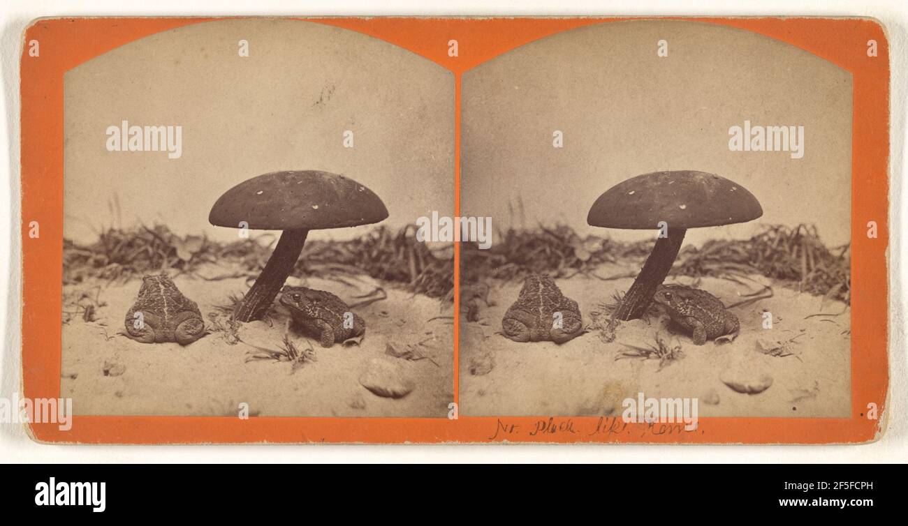 Home like setting hi-res stock photography and images - Alamy