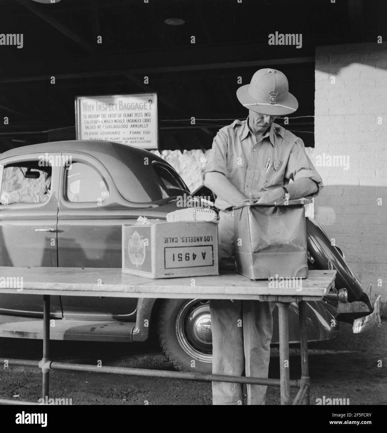 California state plant quarantine inspector examining baggage for ...