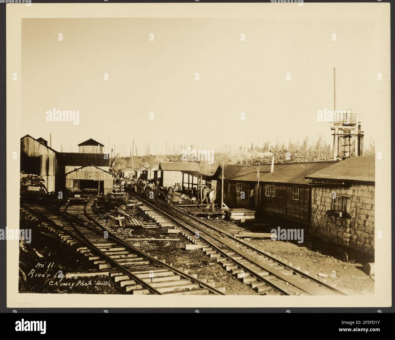 Logging/ Timber Scene. Darius Kinsey (American, 1869 - 1945 Stock Photo ...