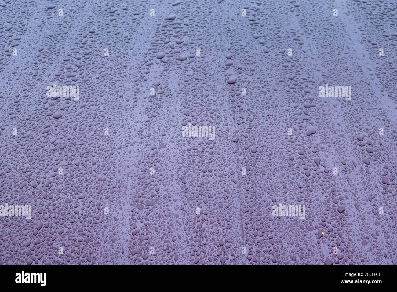 Car hoods hi-res stock photography and images - Alamy