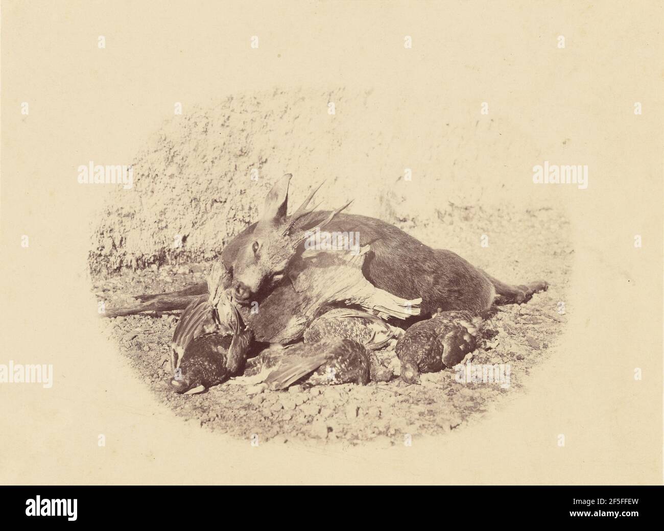 Still Life with Dead Game. Attributed to Roger Fenton (English, 1819 ...