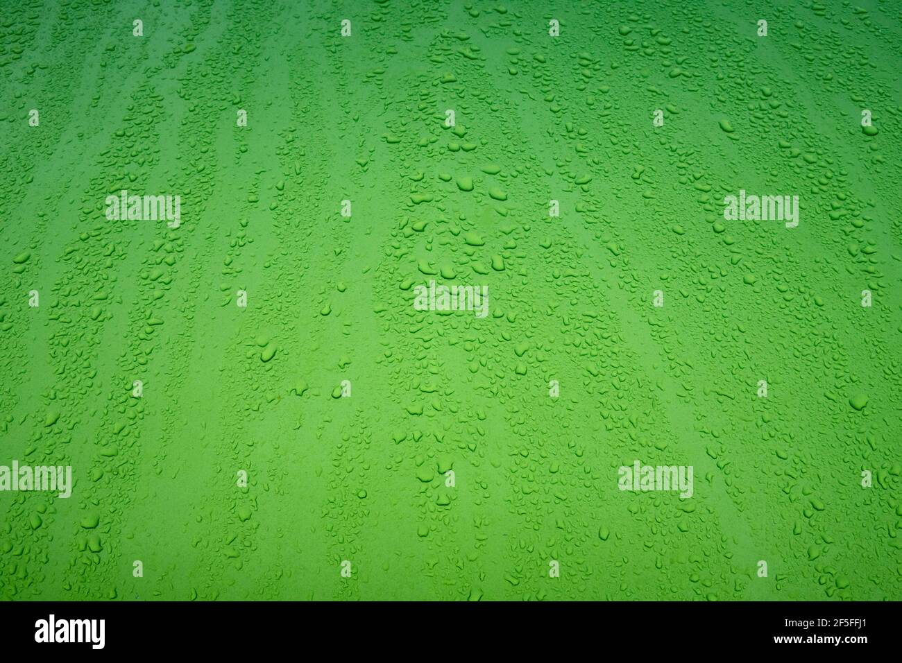 Green hoods hi-res stock photography and images - Alamy