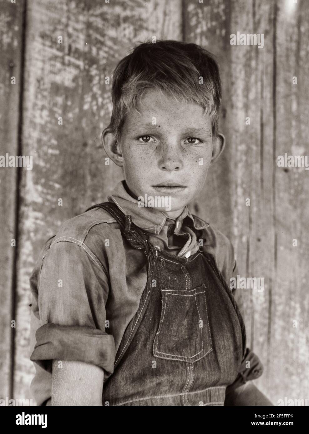 Twelve year old son of a cotton sharecropper near Cleveland ...