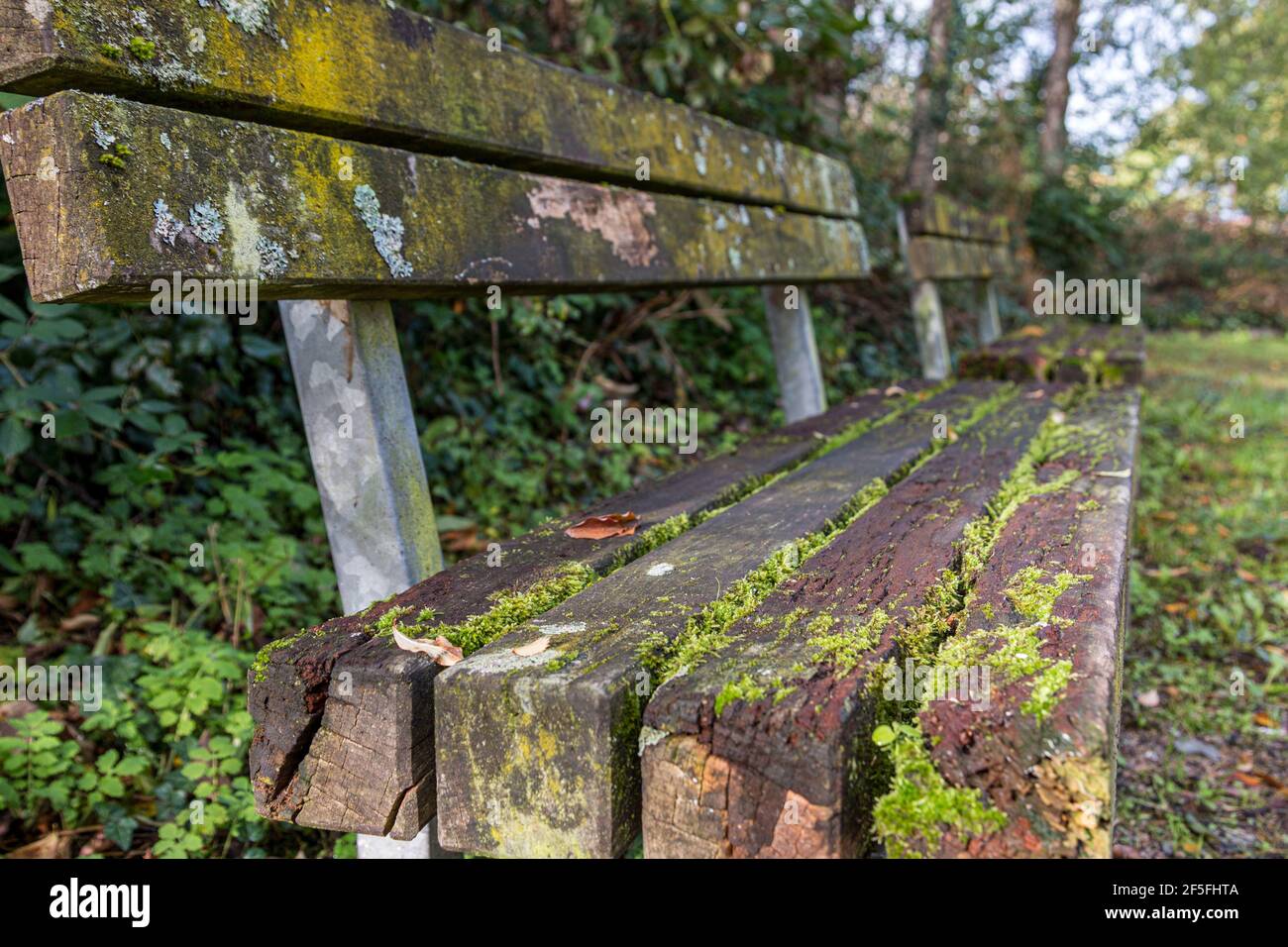 old, rotted wooden benches outdoors Stock Photo - Alamy