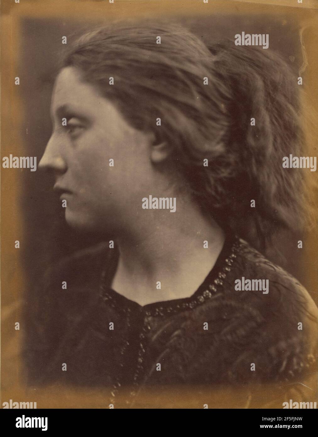 Adriana, Mary Hillier. Julia Margaret Cameron (British, born India ...
