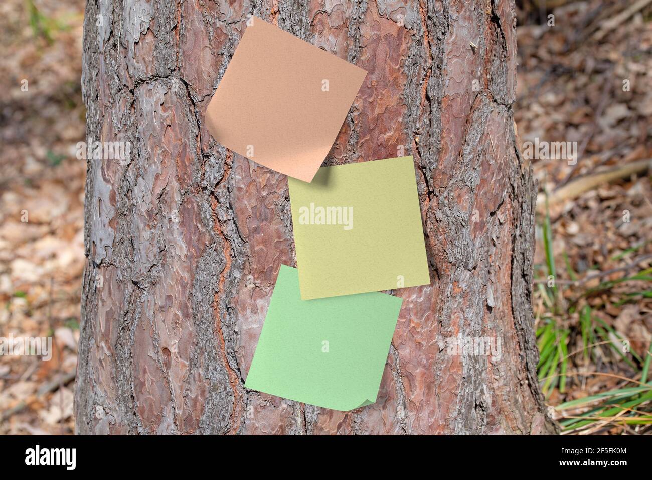 Messages to notify notes hi-res stock photography and images - Alamy