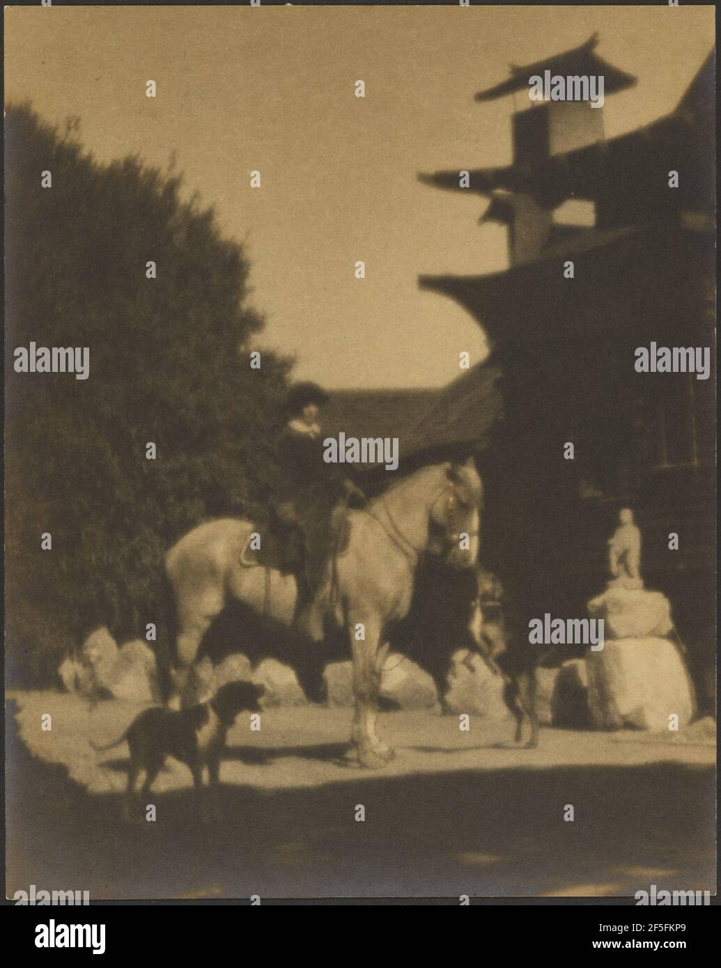 American yung hi-res stock photography and images - Alamy