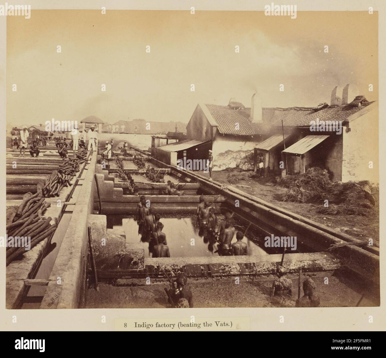 Indigo factory (beating the Vats). Oscar Mallitte (British, about 1829 ...