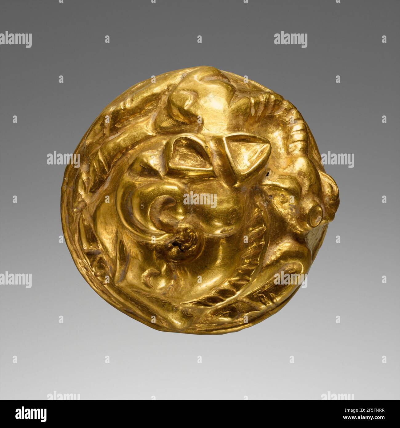 Curled griffin hi-res stock photography and images - Alamy