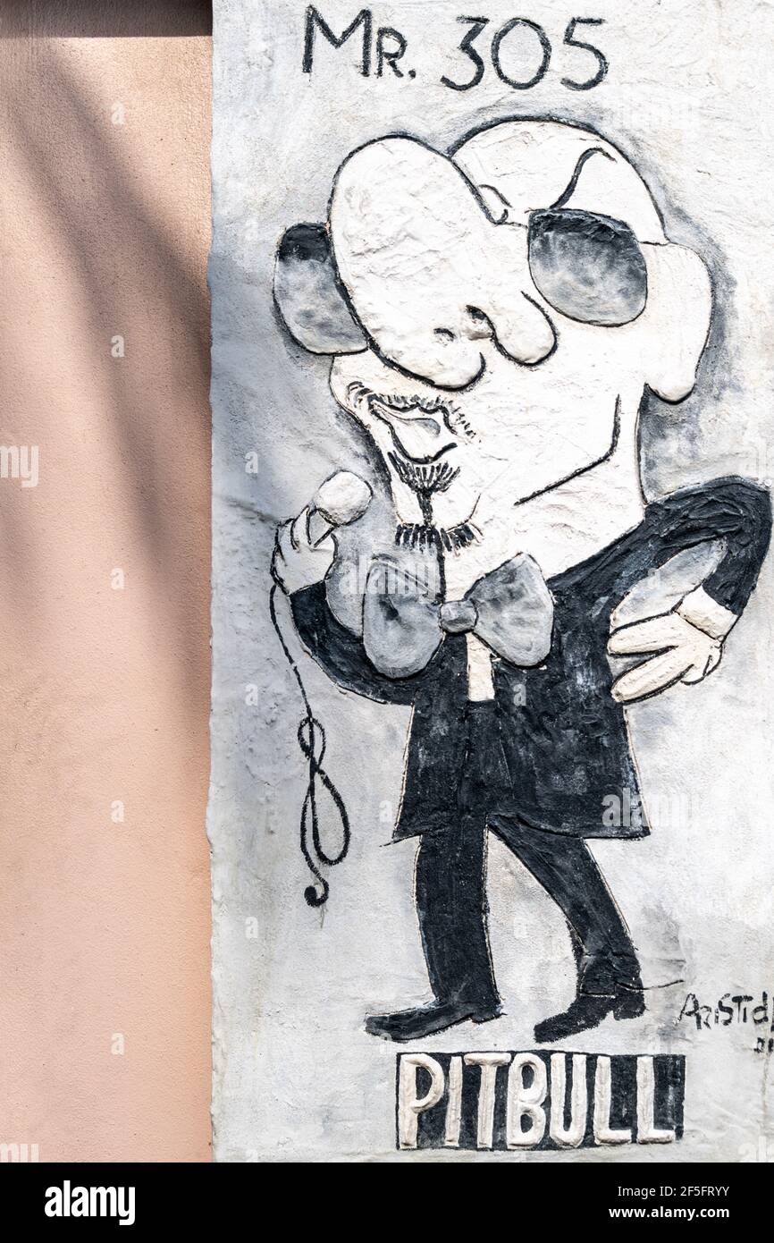 Pitbull urban art, Calle 8, Miami, Florida, USA Stock Photo - Alamy