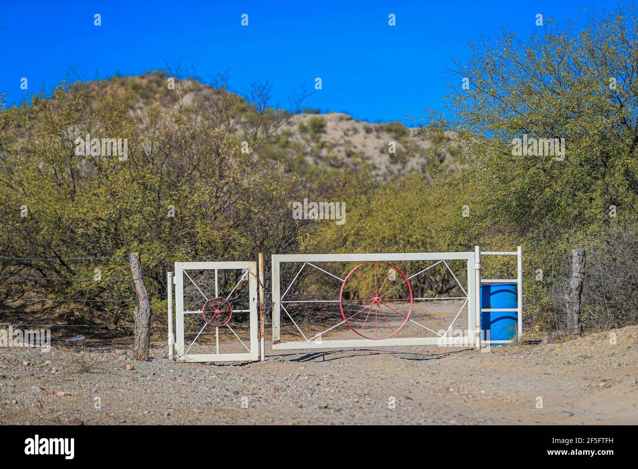 Saric, Sonora, Mexico .... (Photo By LuisGutierrez /NortePhoto.com ...