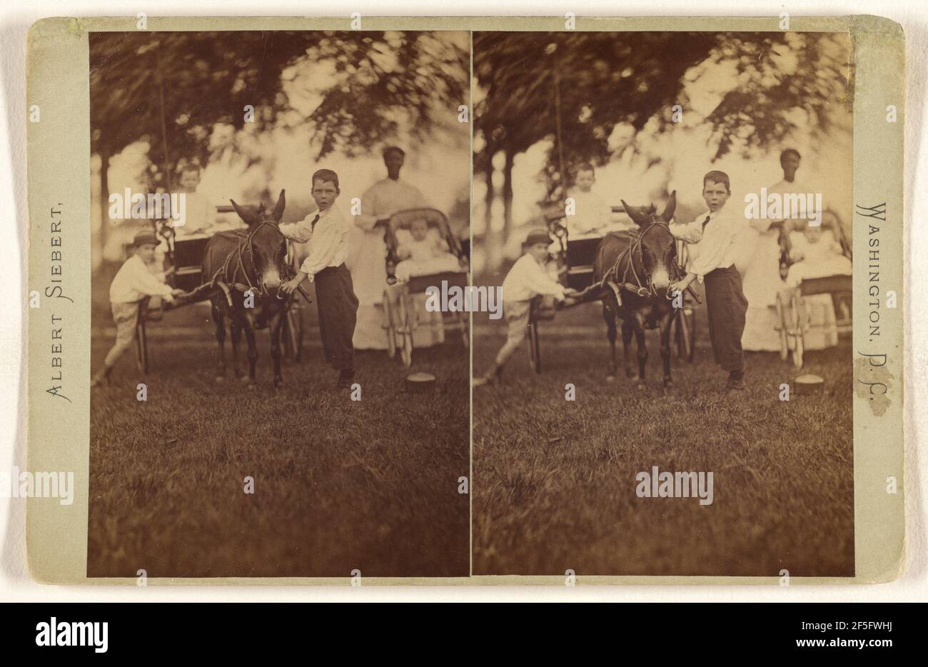 Children playing with donkey-drawn cart, nanny pushing baby in buggy in ...