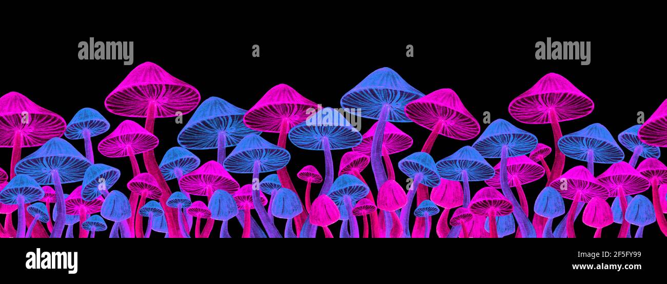 Bright toadstool neon seamless border Stock Photo - Alamy