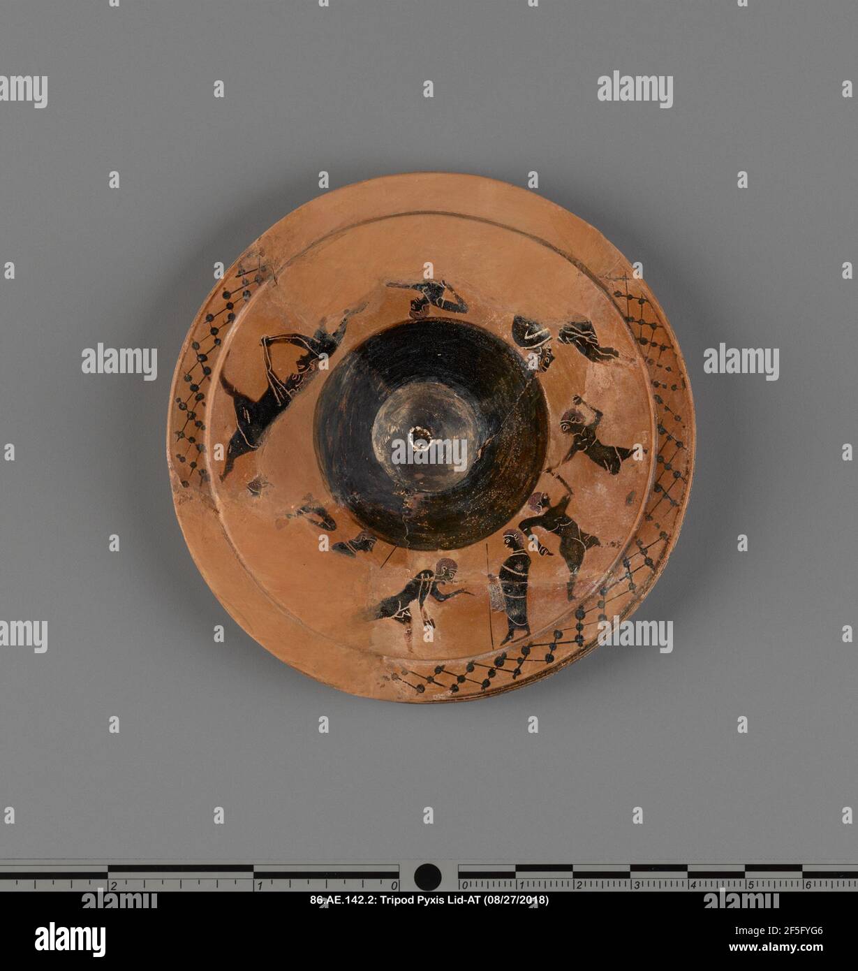 Pyxis hi-res stock photography and images - Alamy