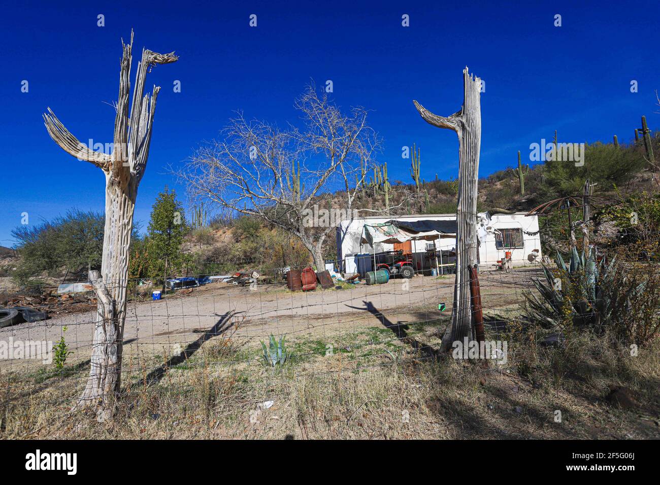 Saric, Sonora, Mexico .... (Photo By LuisGutierrez /NortePhoto.com ...