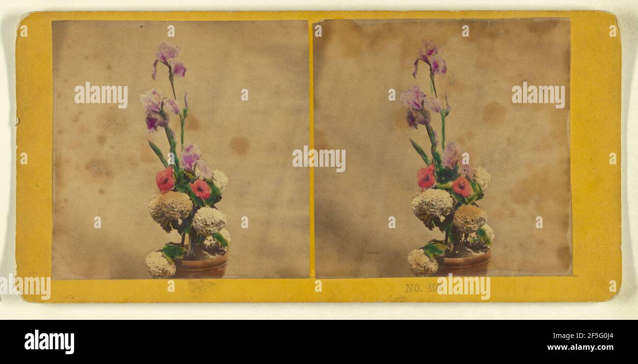 Flower Arrangement. Benjamin West Kilburn (American, 1827 - 1909 Stock ...