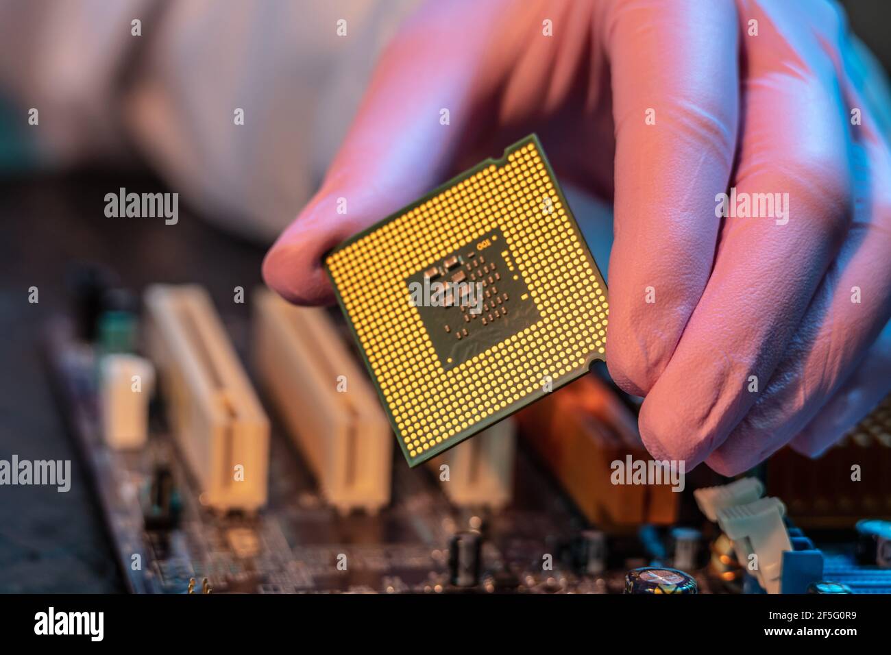 The engineer's gloved hand is holding the CPU chip against the ...