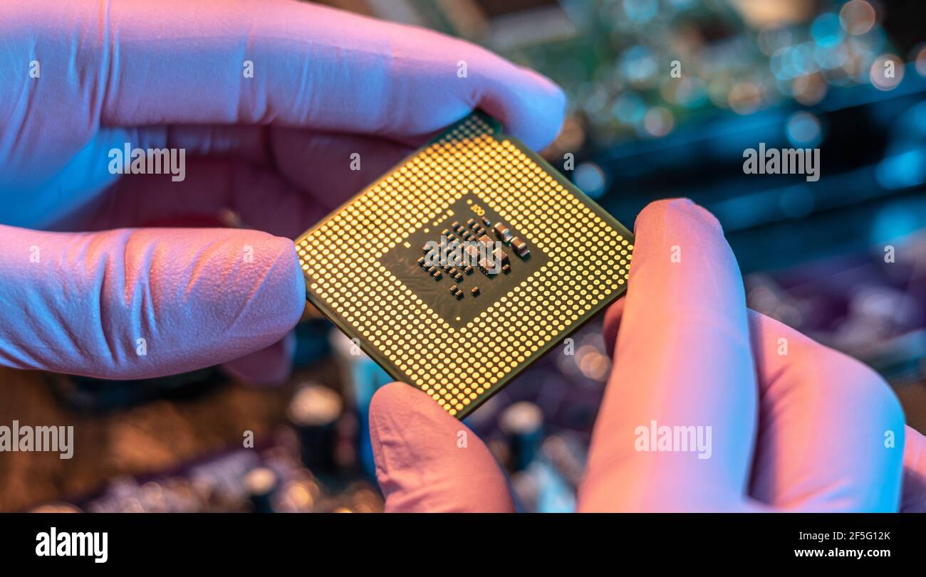 The engineer's gloved hand is holding the CPU chip against the ...