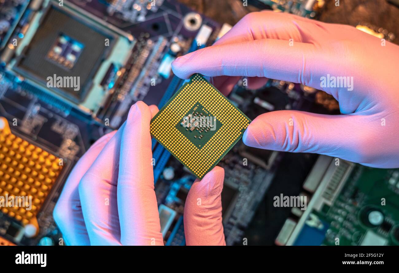 The engineer's gloved hand is holding the CPU chip against the ...