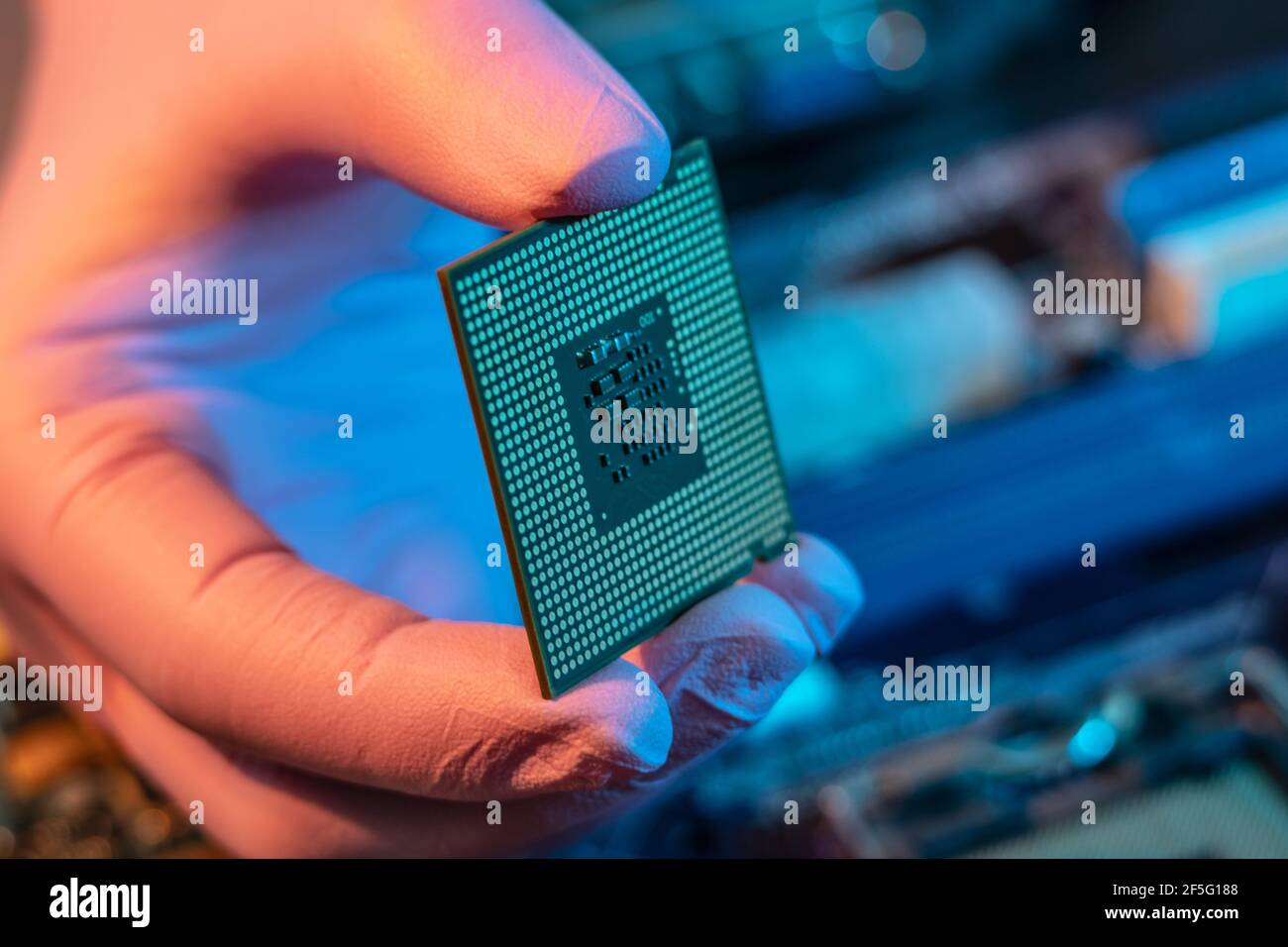 The engineer's gloved hand is holding the CPU chip against the ...