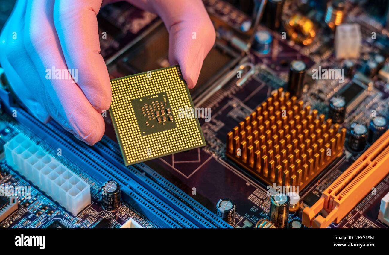 The engineer's gloved hand is holding the CPU chip against the ...