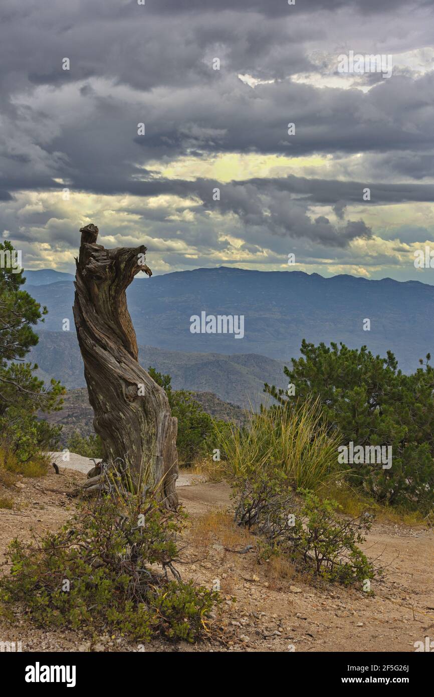 Scenic at popular Windy Point Vista on Mount Lemmon along its Scenic ...