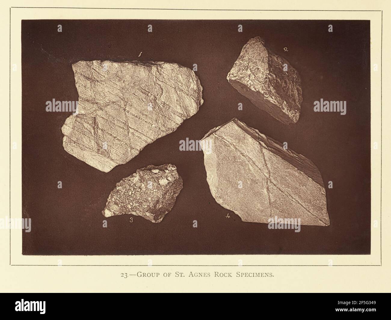 Group of St. Agnes Rock Specimens. John Charles Burrow (British, 1850 ...