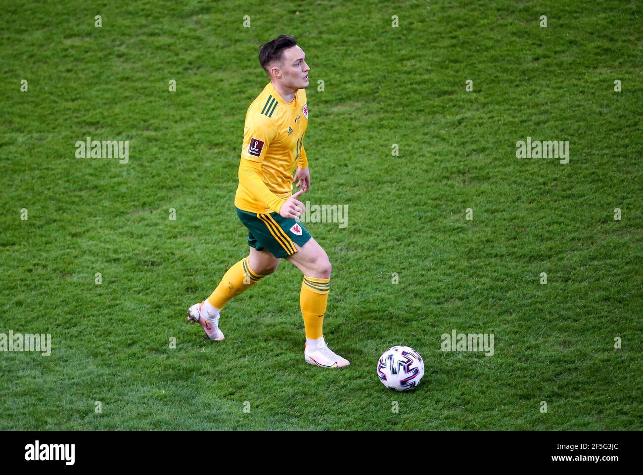 King power at den dreef stadion hi-res stock photography and images - Alamy