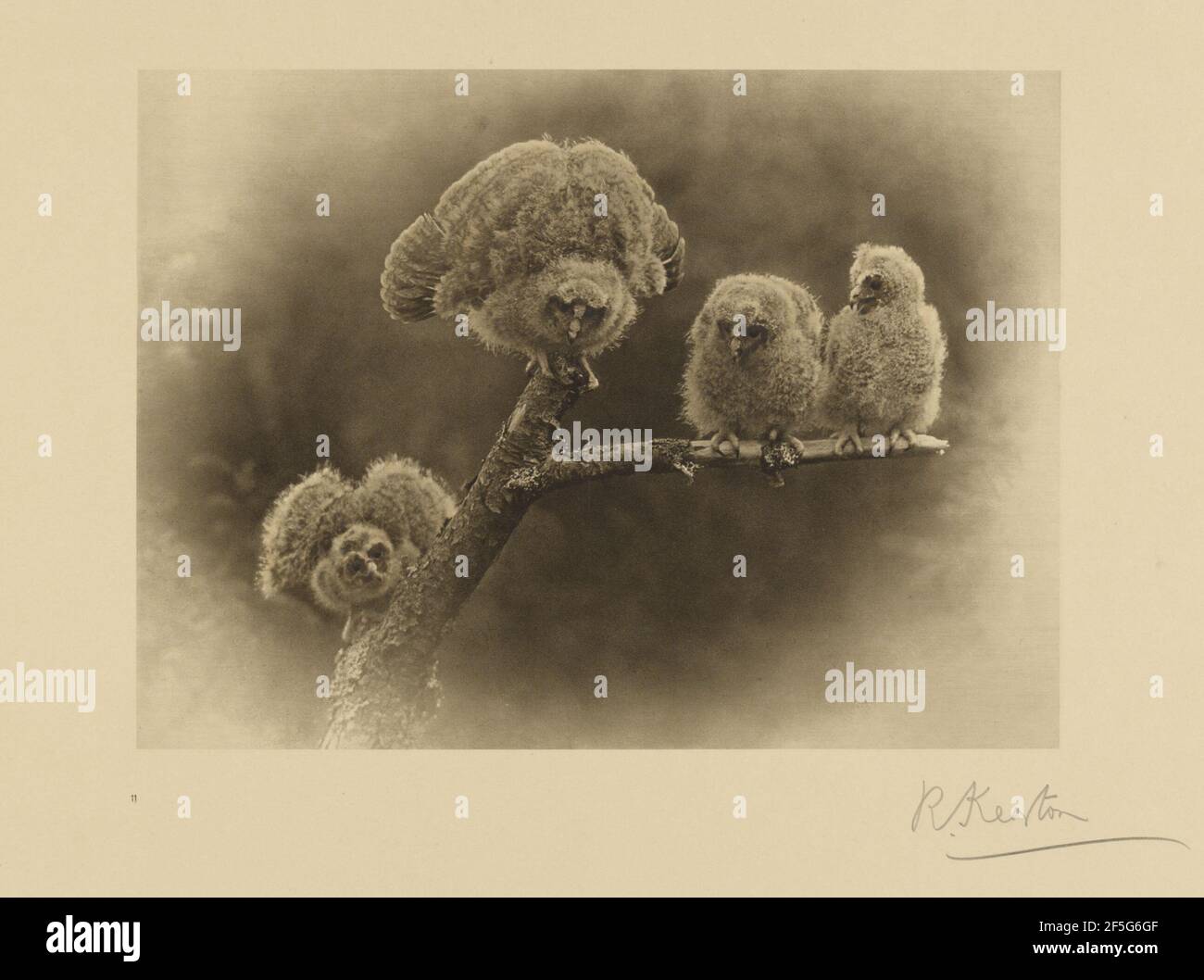 Richard kearton hi-res stock photography and images - Alamy