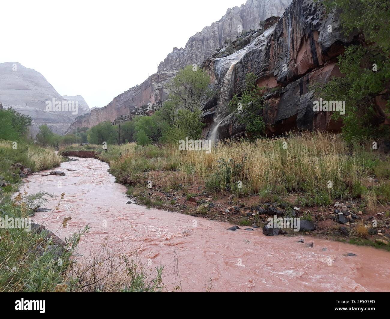 Flash flood in the desert Stock Photo - Alamy